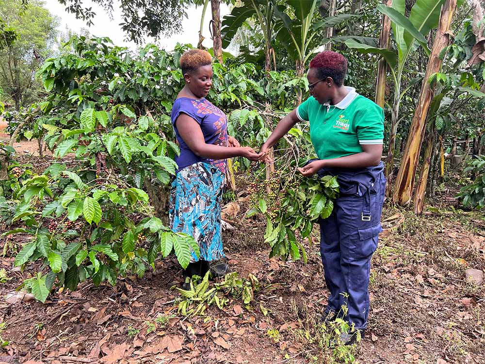 About AGRITRADE Uganda Export and Import - AGRITRADE Uganda